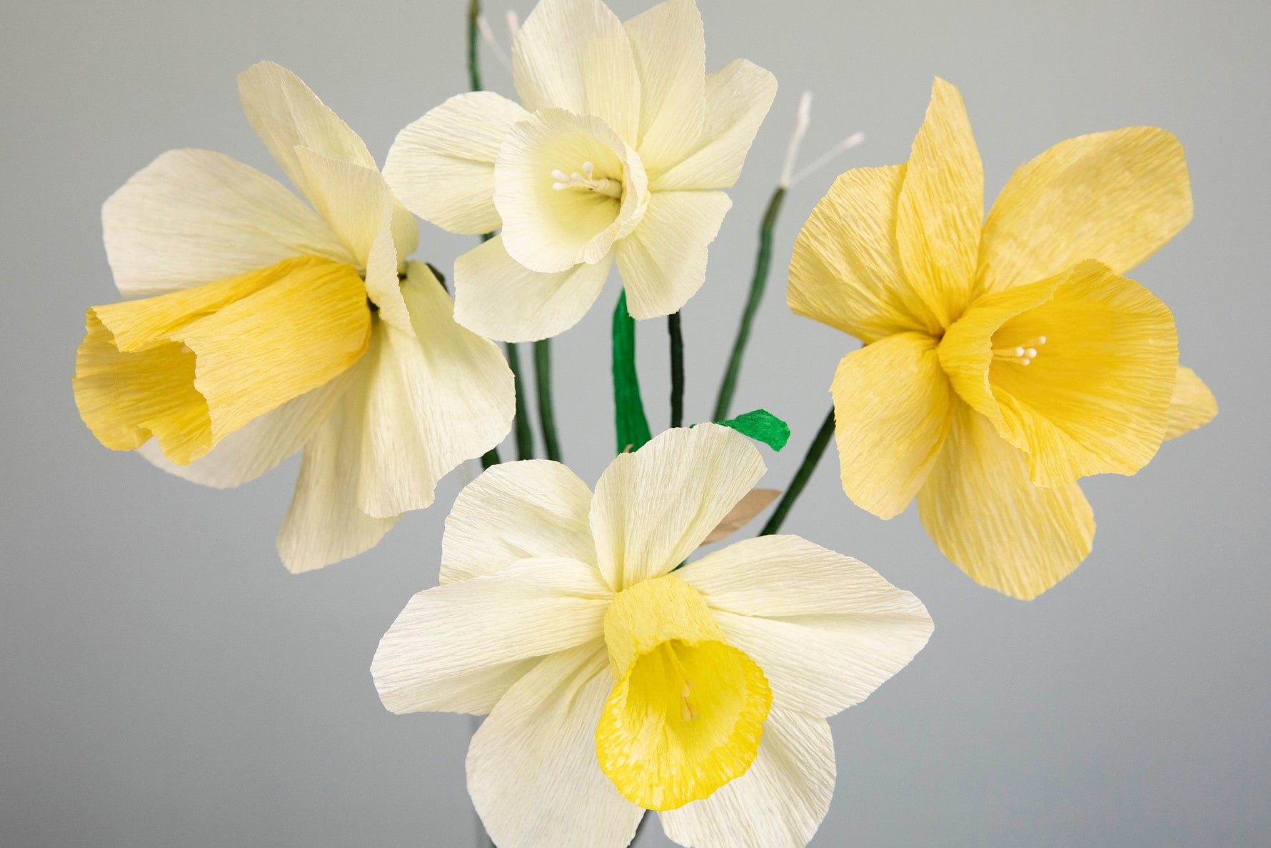 How To Make Paper Daffodils – Hester & Cook