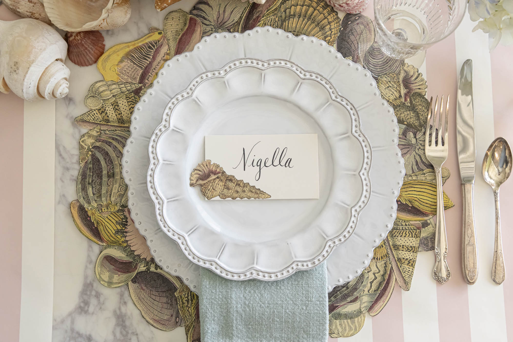 Shell Study Story – Hester & Cook