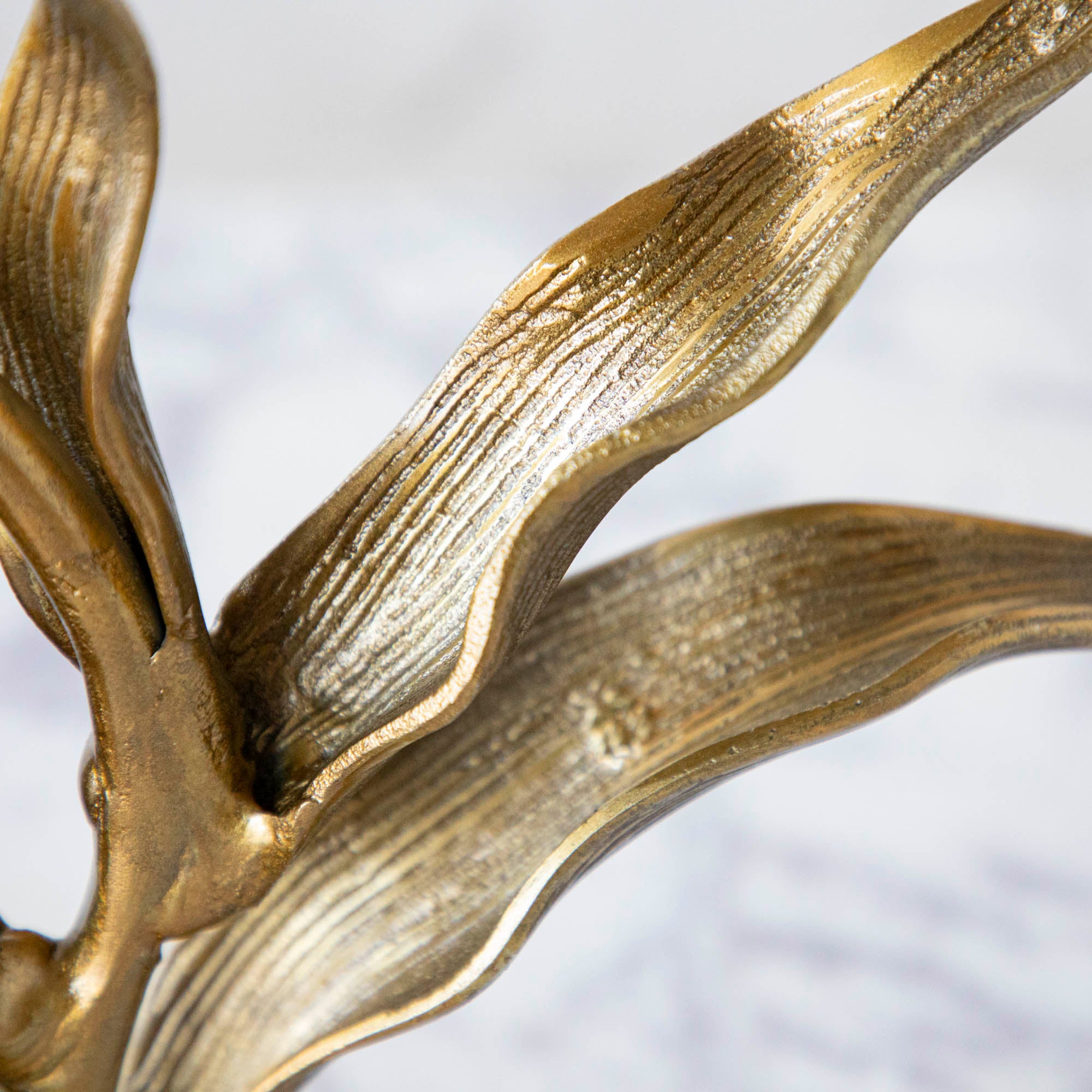 Craning Tulip Sculptures – Hester & Cook
