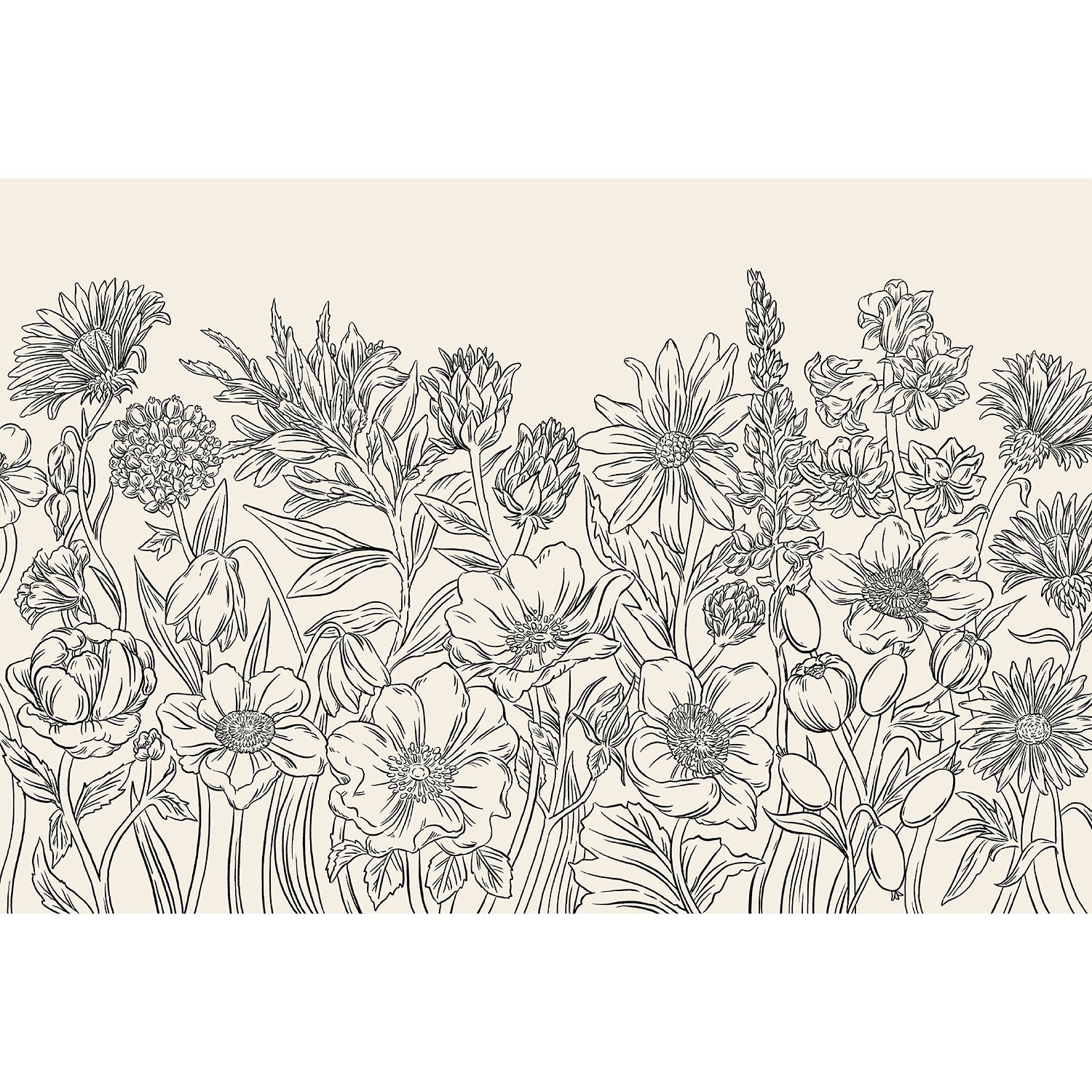 Coloring Wildflower Meadow Placemat – Hester & Cook