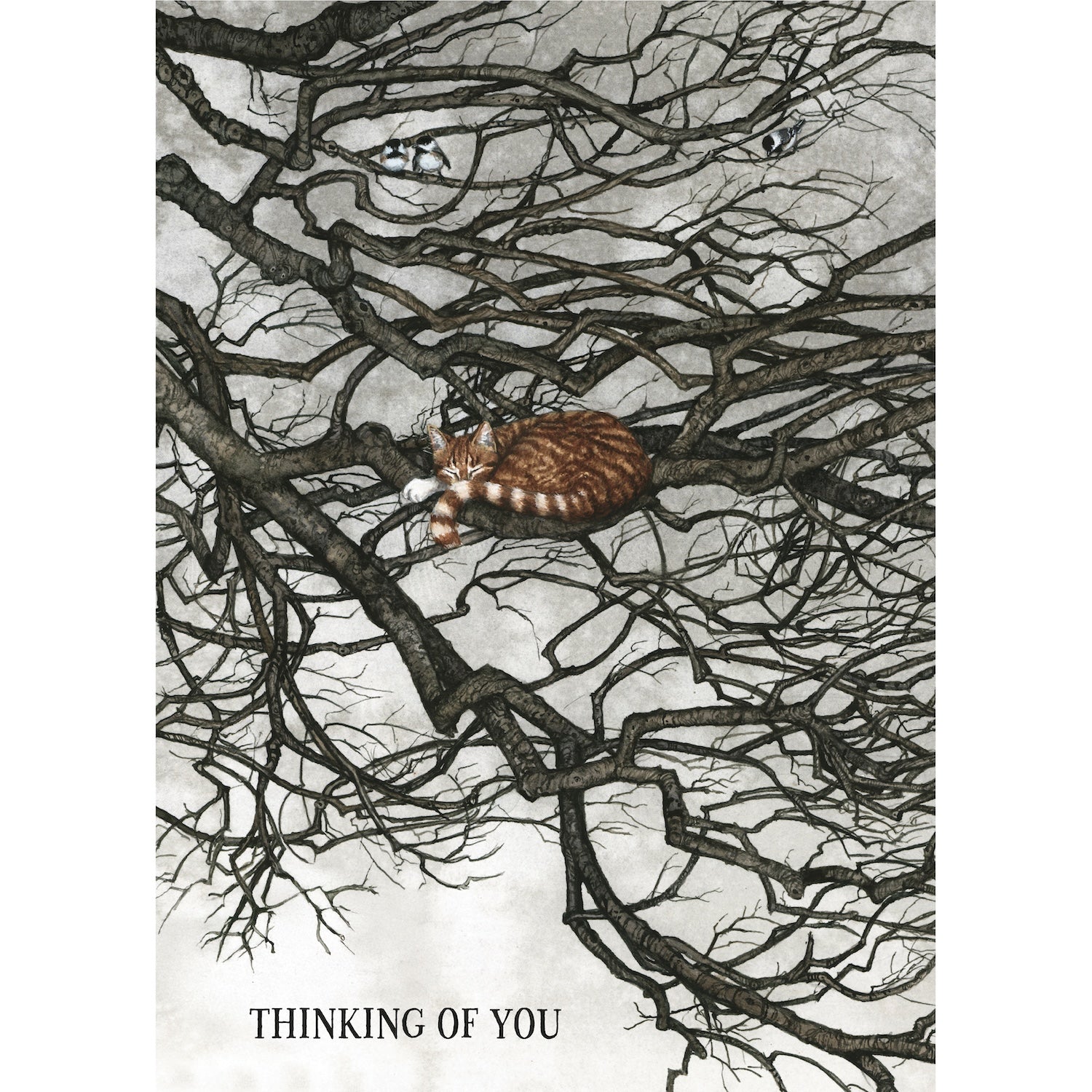 Thoughtful Cat Card – Hester & Cook