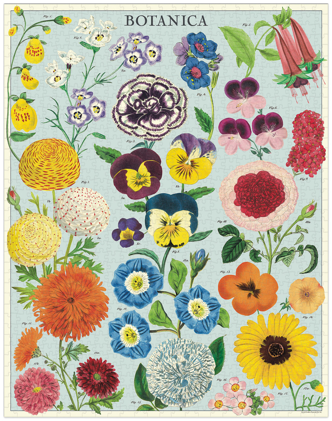 Botanica 1,000 Piece Puzzle – Hester & Cook