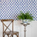 Blue Lattice Wallpaper – Hester & Cook