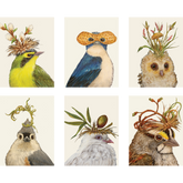 All Products – Hester & Cook