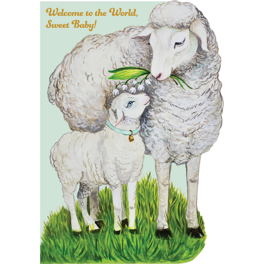 Baby Cards – Hester & Cook