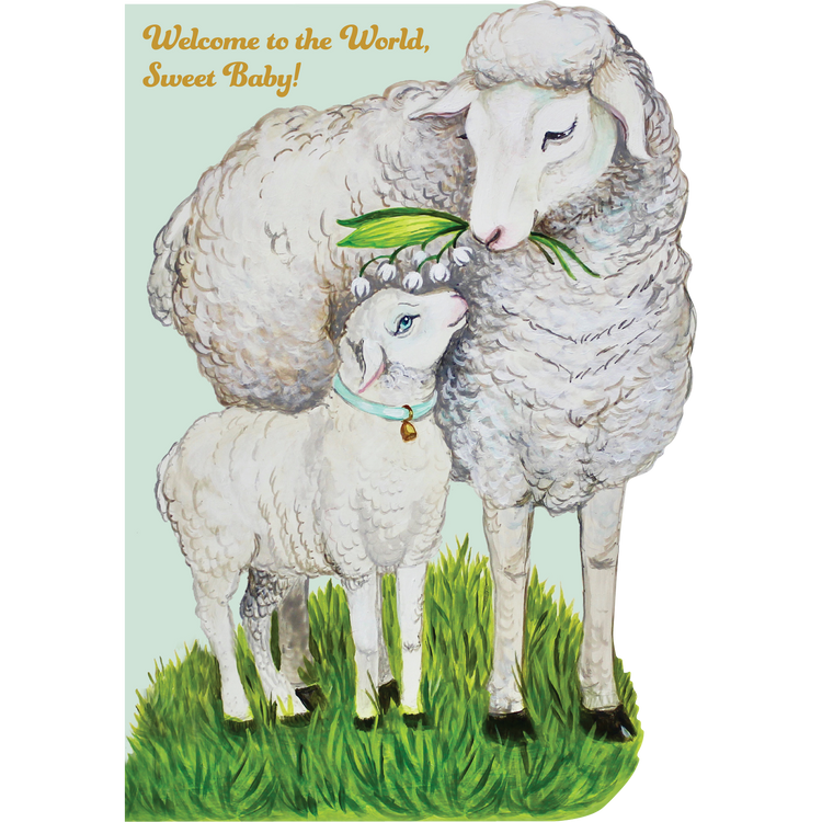 Baby Cards – Hester & Cook