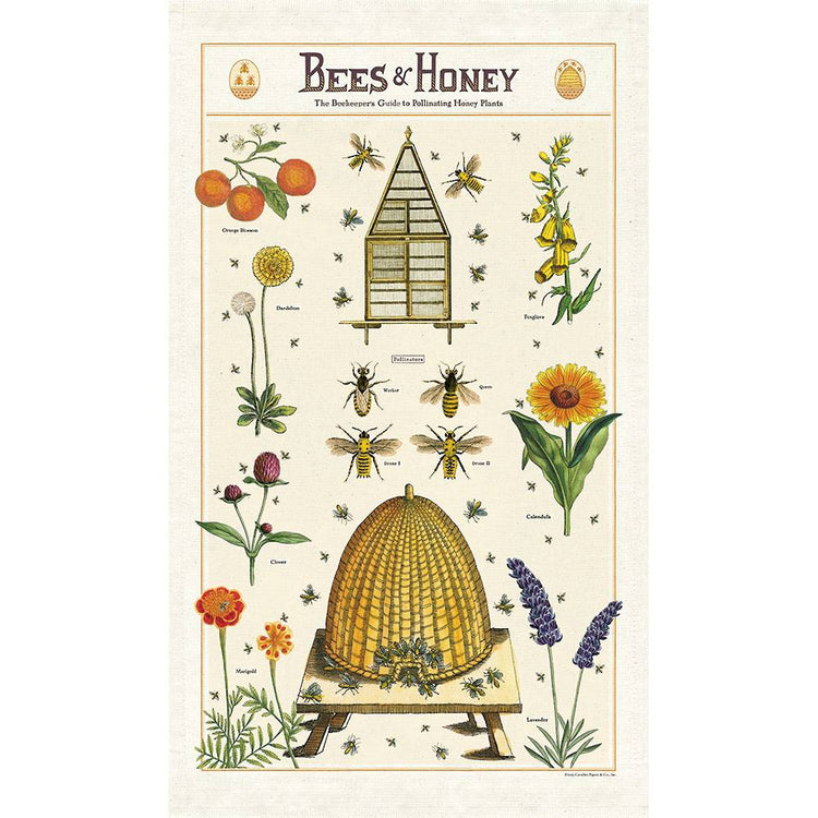 Kitchen – Hester & Cook